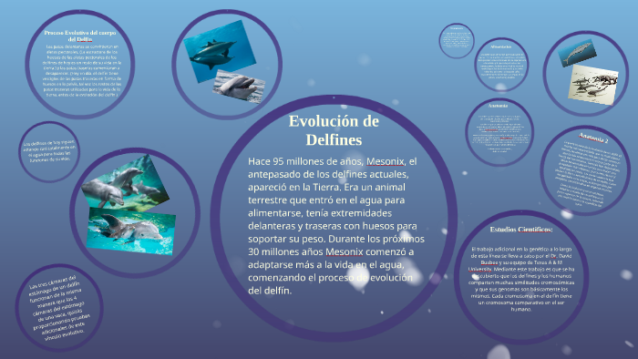 Evolución de Delfines by Luichi Roteda on Prezi