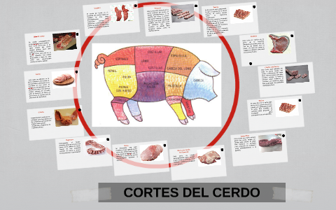 CORTES DEL CERDO by Edgar Zabala on Prezi