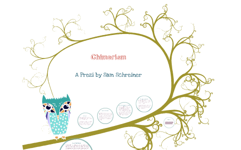 Chimerism in Humans by Sam Schreiner on Prezi