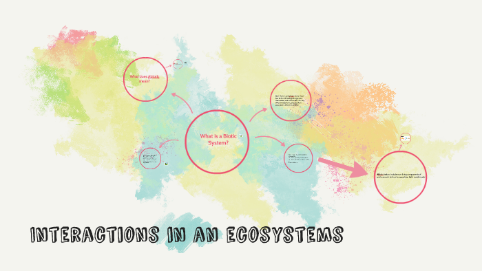 What is a Biotic System? by Belén Ortiz