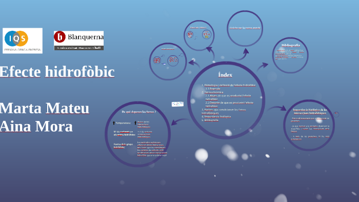Efecto hidrófobo by Aina Mora on Prezi