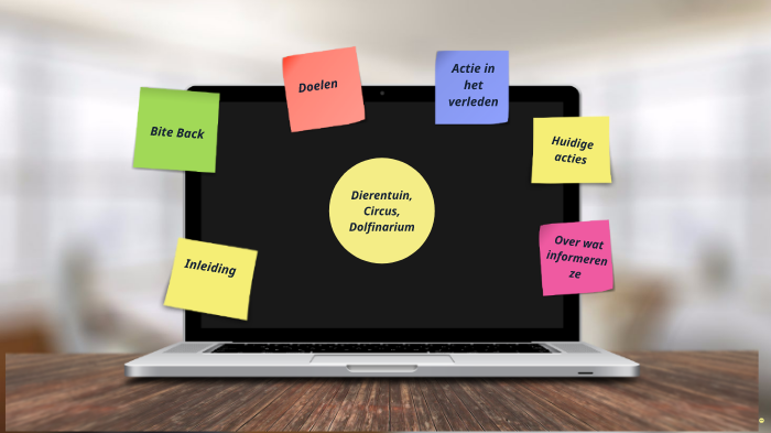 Dolfijnen zijn leuk by Simtor depacko on Prezi