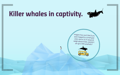 The Orca Project. by paulina hernandez on Prezi