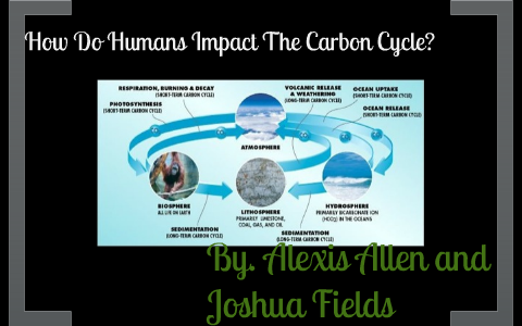 How Do Humans Impact The Carbon Cycle? by Joshua Fields on Prezi