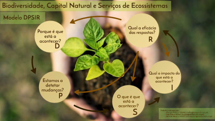 Biodiversidade Modelo DPSIR by Cláudio Trilho on Prezi