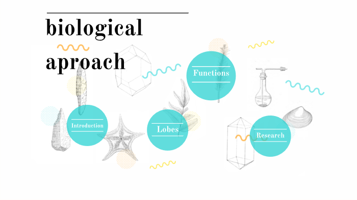 02.01. Biological approach by Psychology Teacher on Prezi