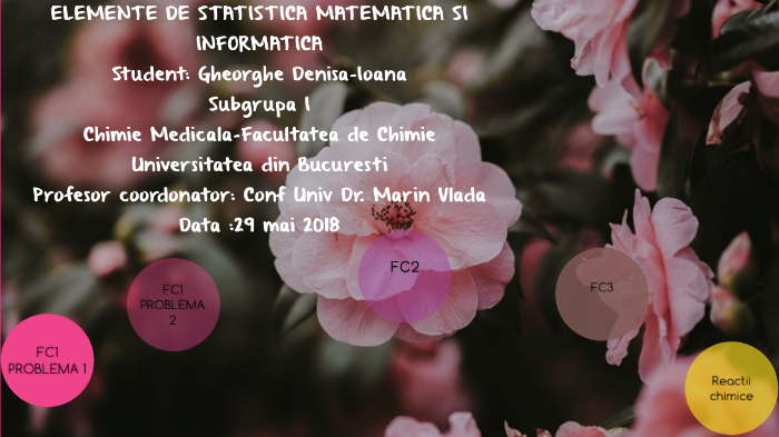 Colocviu Elemente de statistica matematica si informatica-Gheorghe ...