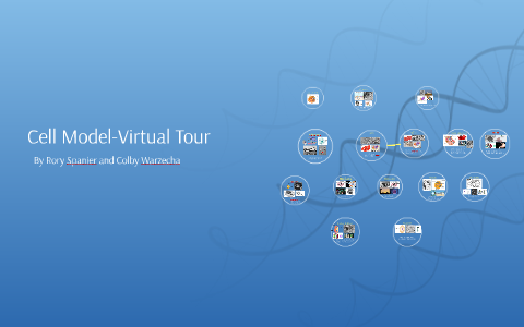 Cell Model-Virtual Tour by Me on Prezi