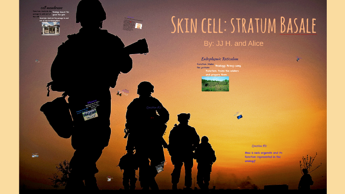 Skin cell analogy by Twinkle H. on Prezi