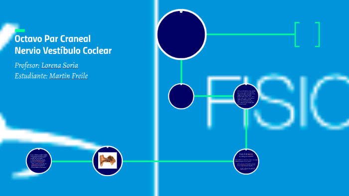 Octavo par craneal by Martin Freile on Prezi
