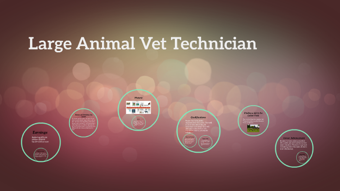 Large Animal Vet Tech by Olivia Walker on Prezi