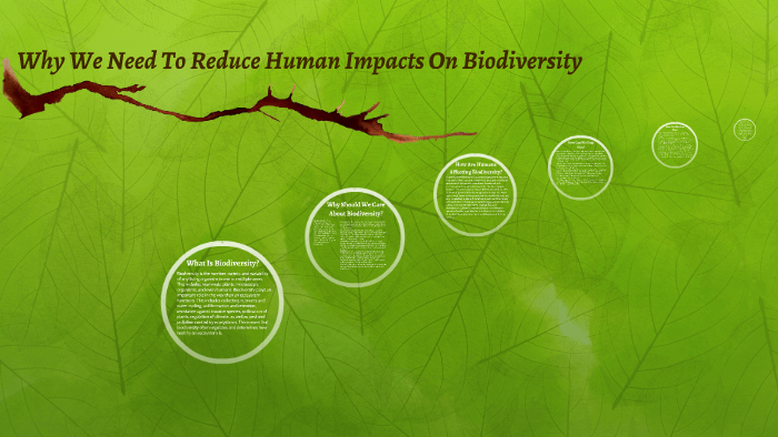 Why we Need to Reduce Human Impacts on Biodiversity by Griffin Langhans ...