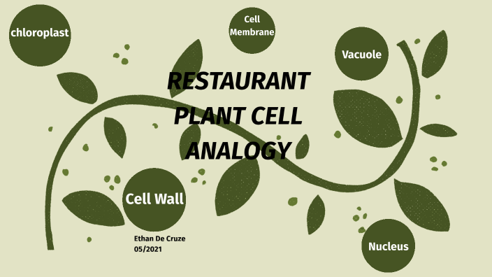 CELLS - RESTAURANT by Ethan De Cruze on Prezi