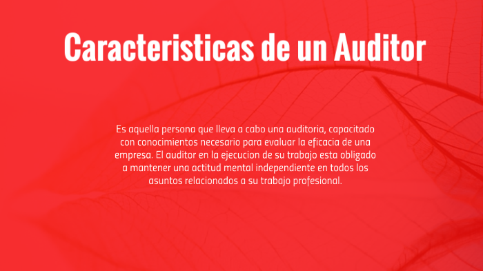 Características del Auditor by ROXANA SANABRIA on Prezi