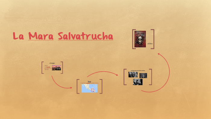La Mara Salvatrucha by Haley Zierden on Prezi
