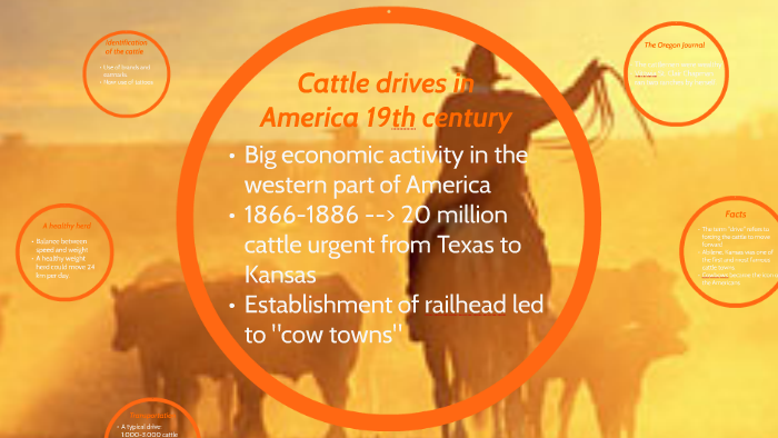 Cattle drives in America 19th century by Laura Vejlemand on Prezi
