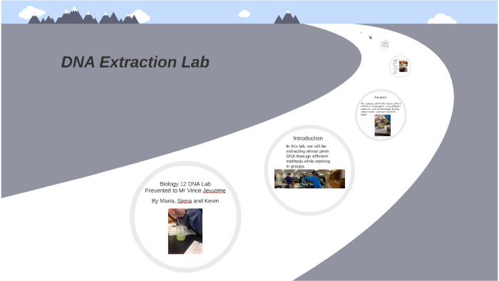 Wheat Germ DNA Extraction Lab by Kevin Poirier on Prezi