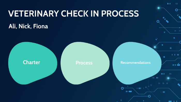 Vet Process by Fiona Bai