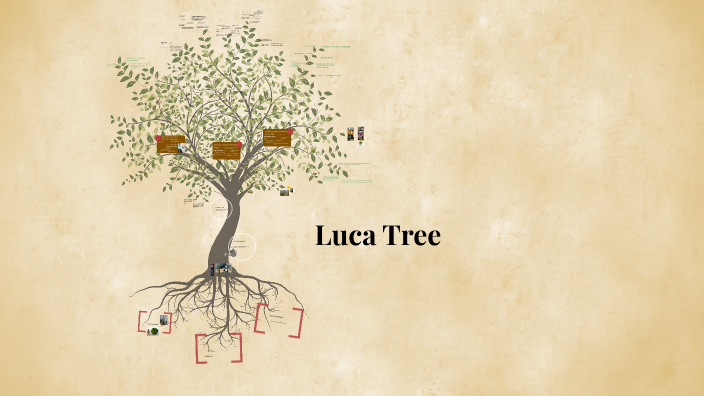 Luca Tree by Ruth van Ingen Schenau on Prezi