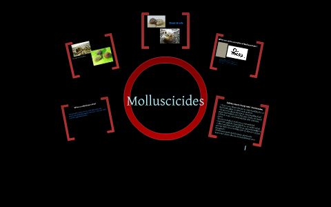 Molluscicides by Sabrina Cornejo on Prezi