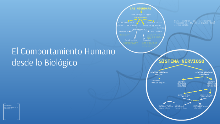 El comportamiento humano desde lo biologico by Sebastian Gaviria on Prezi