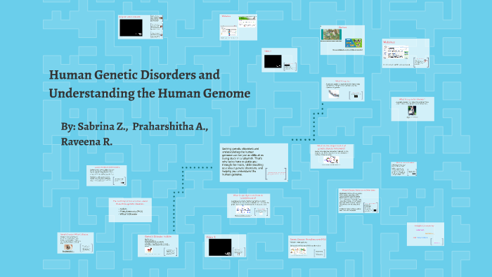 Human Genetic Disorders and Understanding the Human Genome by Sabrina Z ...