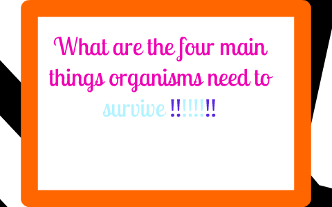 The 4 basic needs by emily B on Prezi