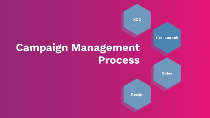 Campaign Management Process by Julia Paciga on Prezi