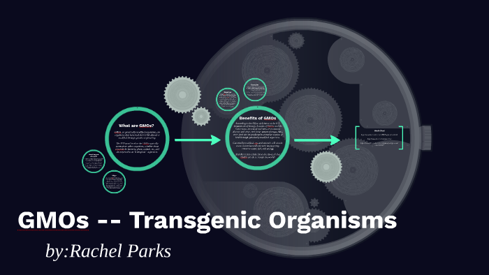 GMOs -- Transgenic Organisms by Rachel Parks on Prezi