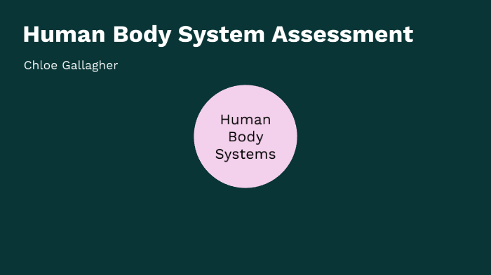 Human Body Concept Map by Chloe Gallagher on Prezi