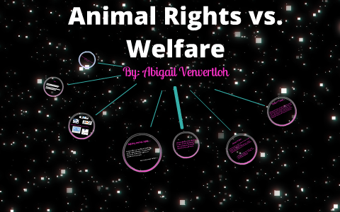 Animal Rights vs. Welfare Project by Abigail Venvertloh on Prezi