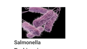 Pathogen wanted poster by KYLE GRAY on Prezi Design