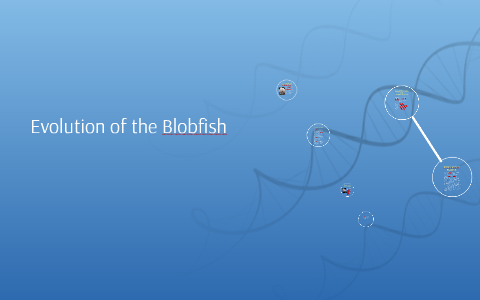 The Evolution of the Blobfish by Marco Jaimes on Prezi
