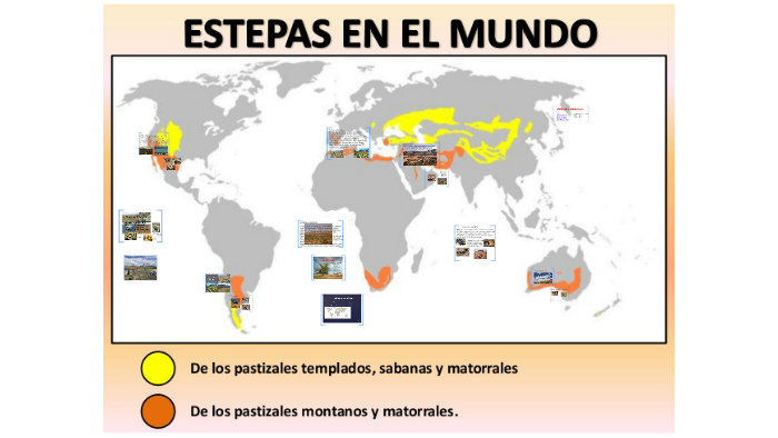 Estepa by Marcela Balas on Prezi