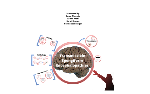 Transmissible Spongiform Encephalopathies by Kerri Shoenberger on Prezi