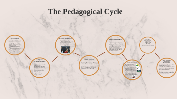 The Pedagogical Cycle by Savannah Stout on Prezi