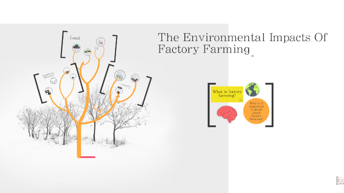 The Enviornmental Impacts Of Factory Farming by Emmeline A on Prezi
