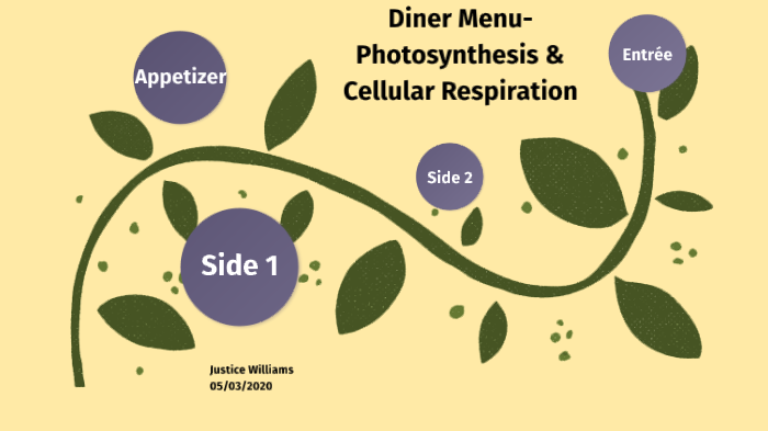 Photosynthesis & Cellular Respiration- Diner Menu by Justice Williams ...