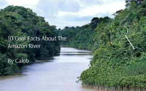 10 Cool Facts About The Amazon River by Caleb Lee on Prezi