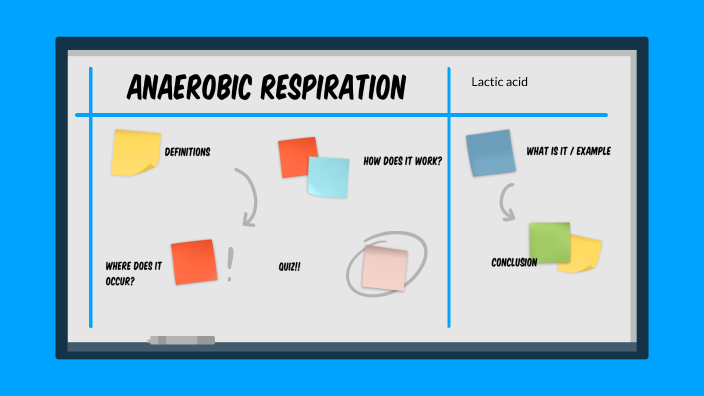 Anaerobic Respiration and Lactic Acid by Aisha W on Prezi