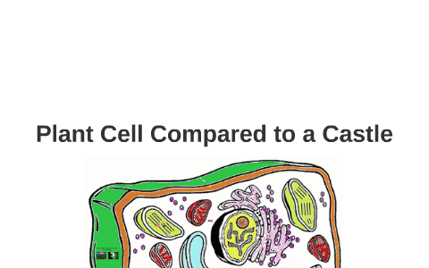 Plant Cell Compared to a Castle by Krishna Gandhi on Prezi