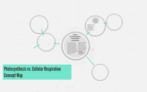 Photosynthesis vs. Cellular Respiration Concept Map by kasim clark on Prezi