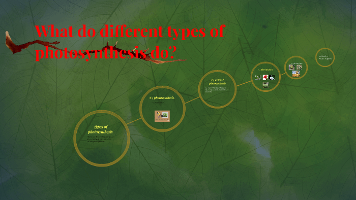 What do different types of photosynthesis do? by Brandon Jones on Prezi