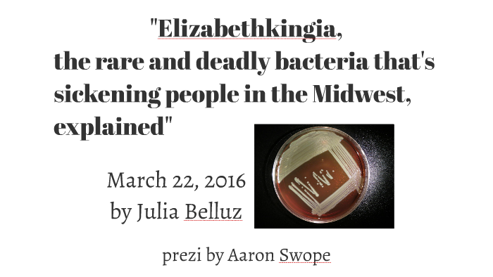 Elizabethkingia Disease by Aaron Swope on Prezi
