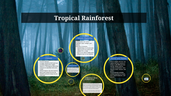 Biome Project/Travel Brochure by Hipster_Panda on Prezi