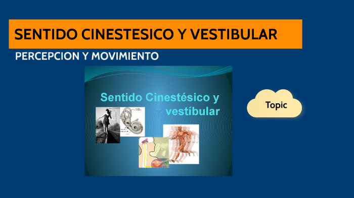 SENTIDO CINESTESICO Y VESTIBULAR by MARLON JOSUE FUNEZ ESPINAL on Prezi