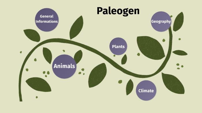 Paleogen by Karolina Haus on Prezi