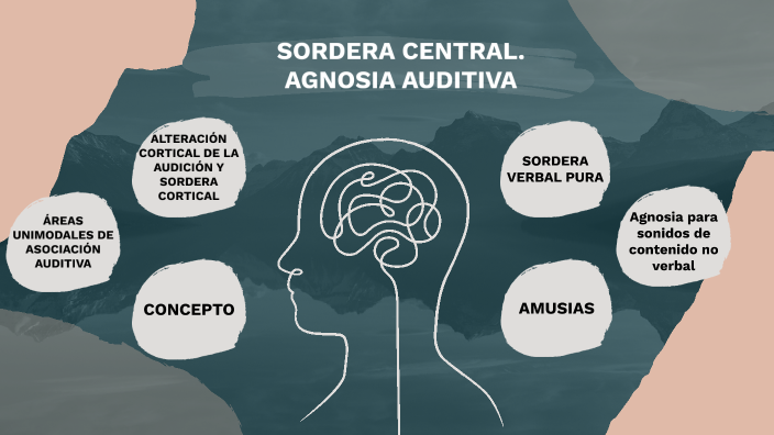 Sordera central. Agnosia auditiva by Oriana Andrade on Prezi