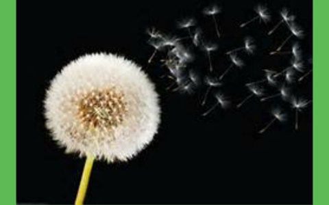 Journey of life through art by Bea Taylor on Prezi