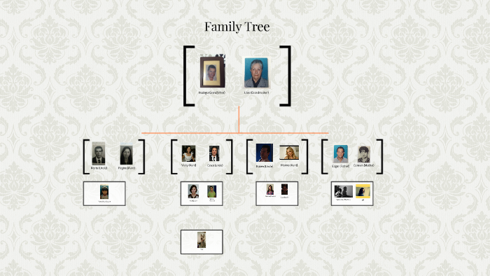 Family Tree by Camila Patiño Orozco on Prezi